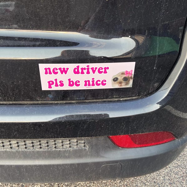 New Driver Pls Be Nice | Bumper Sticker AND Magnet | Funny Meme Sticker ...