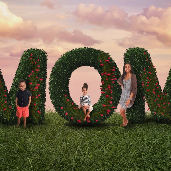 The Ultimate Guide to in the Box Photography, Video Tutorials, Learn ...