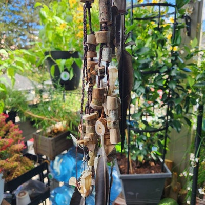 Baby Ball Python SNAKE Wet Specimen Absolutely Beautiful Formalin Fixed ...