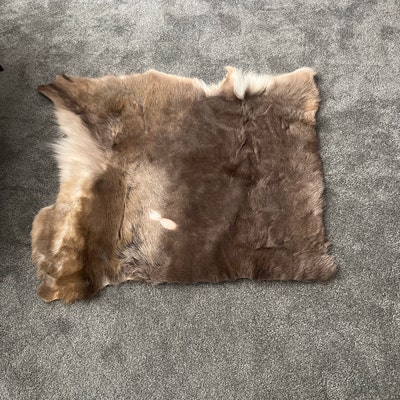 1 Quality Soft Rabbit Hide Skin Pelt Taxidermy Wall Floor - Etsy
