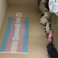 Trans Pup Pride Flag - Etsy