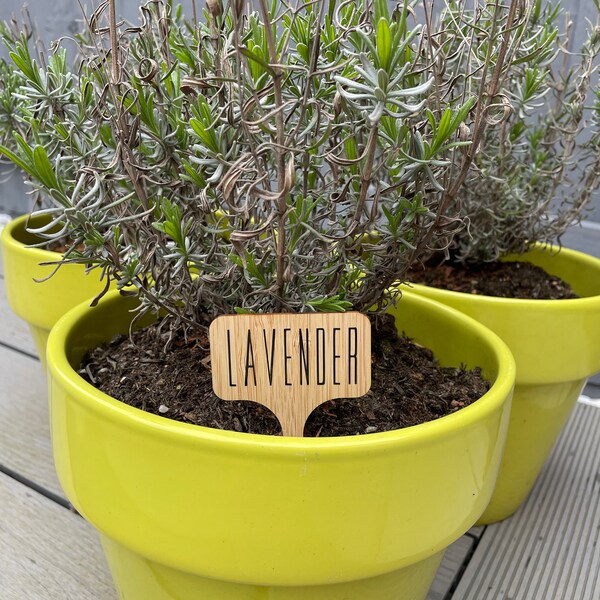 Herb Planter Labels | Herb Garden Labels | Custom Herb Garden | Stakes ...
