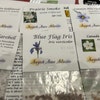 Wingstem Seeds - Etsy Canada