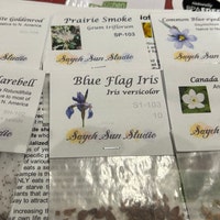 Wingstem Seeds - Etsy Canada