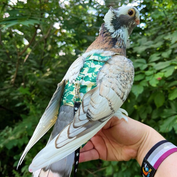 Lightweight Black Pigeon Leash - Etsy