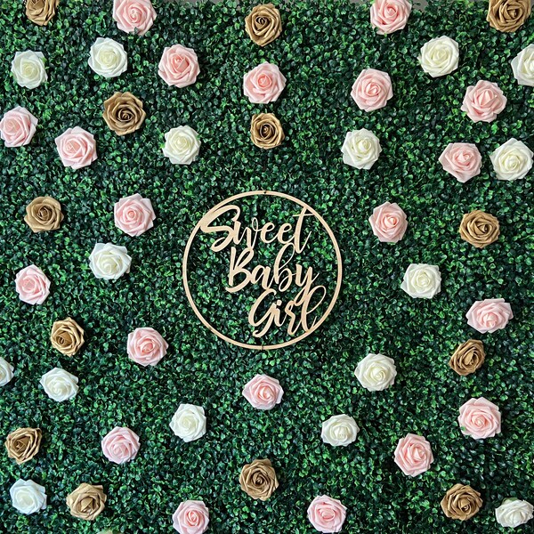 Custom Circle Frame Wood Cutout Sign, Event Cut Out, Door Hanger ...