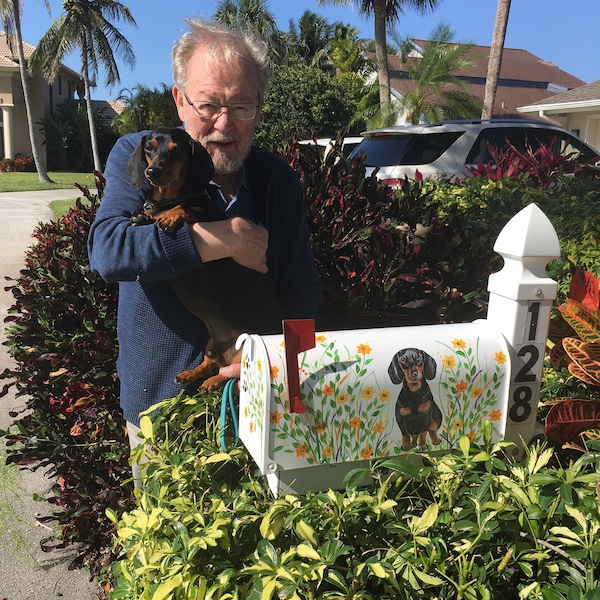 Custom Painted Pet Mailboxes - Etsy