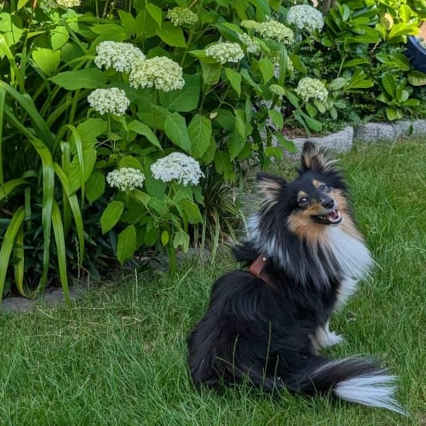 Custom Leather Bible Sleeve, Personalized Bible Cover for Men, Handmade ...
