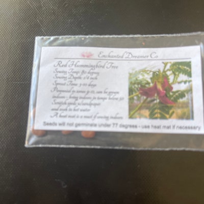 Red Hummingbird Tree Seeds, Edible Flowers, Pods and Leaves, Sesbania ...