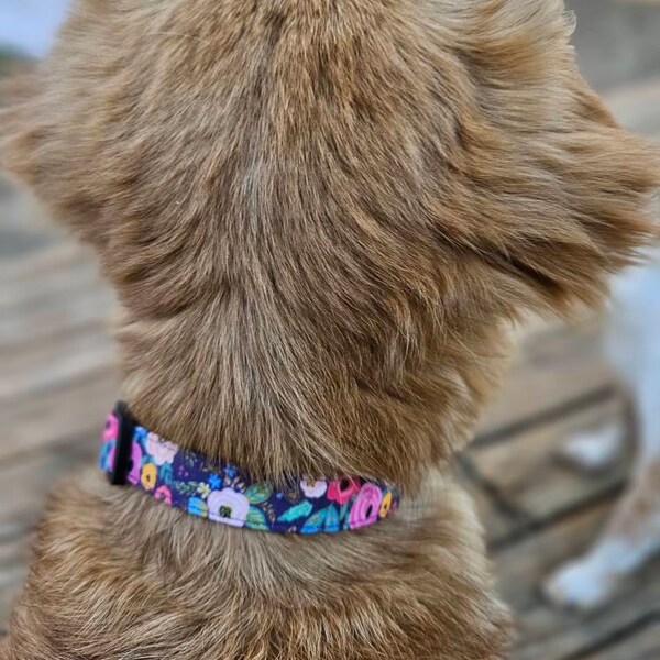 Rifle Paper Co. Dog Collar, Dog Collars, Floral Dog Collar, Girl Dog ...