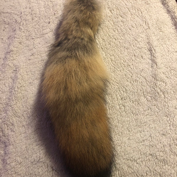 Eco Friendly Coyote Tails - Etsy