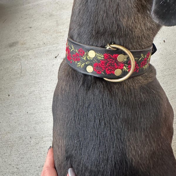 Rose Leather Dog Collar. Embroidery Dog Collar. High Dog Collar. Sturdy ...