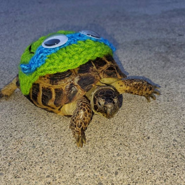 Handmade Crochet and Accessories by MyCuteCreation on Etsy