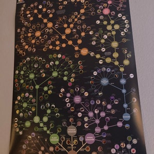 Evolutionary Tree of Life Poster - Etsy