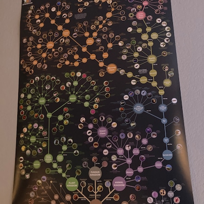 Christian Denominations Family Tree Poster - Etsy