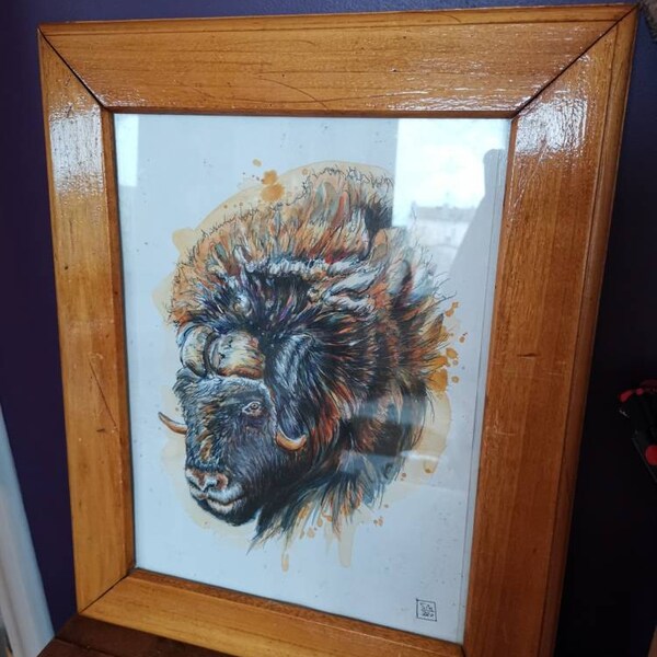 A4 Original Fineliner Drawing Eurasian Common Kingfisher Alcedo Atthis ...