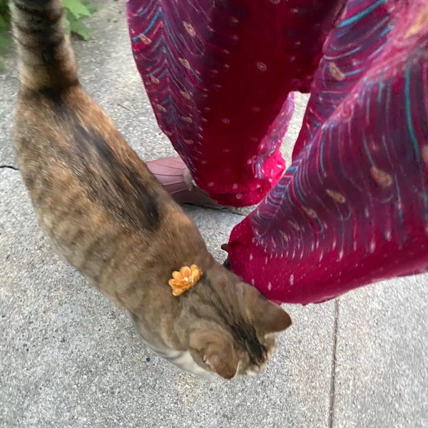 Tiny Cute Flowers Slides on Any Collar - Etsy