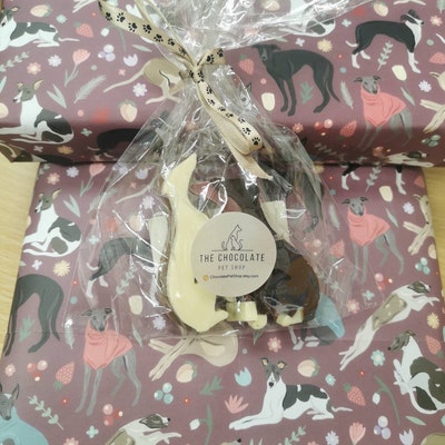 Devon Map Illustrated Map Devon Gifts Map of Devon Devon - Etsy UK