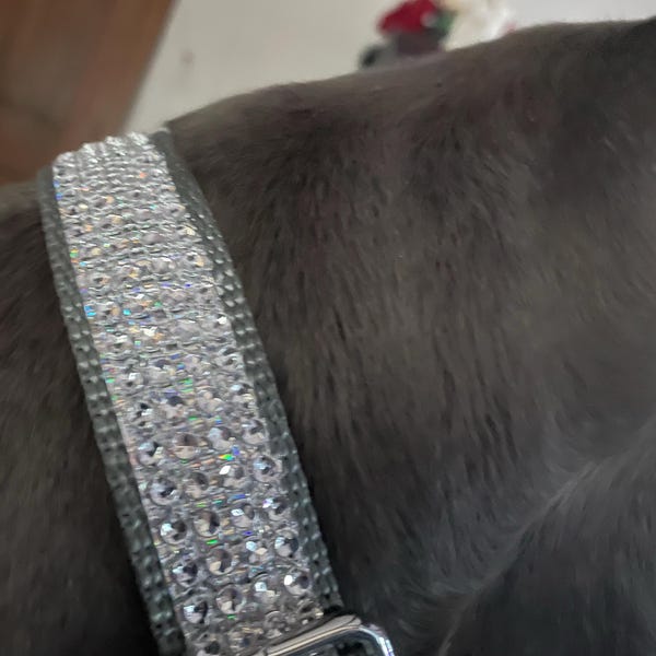 Silver, Grey Rhinestone Fancy, Glitter, Blingy Dog Leash, Platinum Dog ...