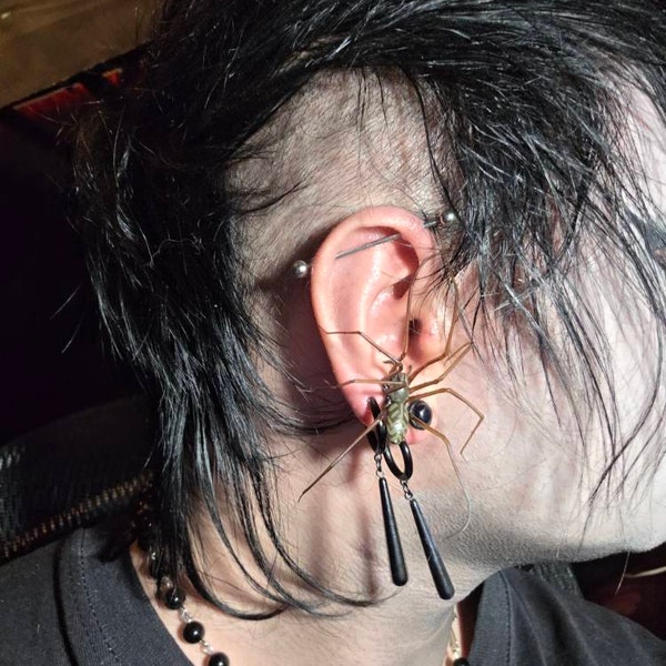 Plastic Spider as an Earring (ORIGINAL!) | Realistic Giant House Spider ...