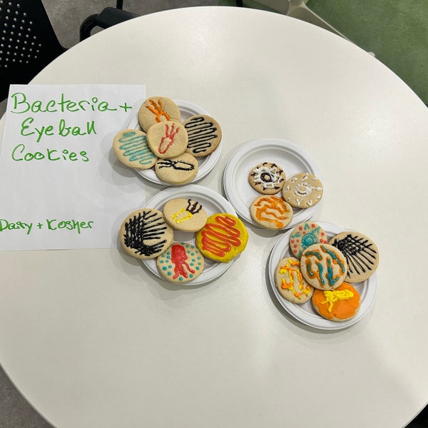 Bacillus Bacteria Cookie Cutter: Microbiology, Science - Etsy