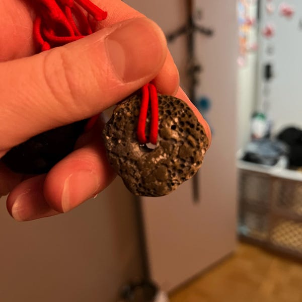 Rare Turquoise Cute, Beautiful Shell, Sea Treasure, Large Round Shell ...