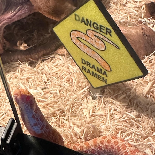 XL Hoggy Hide. Burrow Hide. Snake Hide for Western Hognose, Colubrids ...