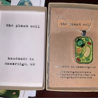 Plant Cell Key Chain Key Ring Cell Biology Biology Gift - Etsy Canada