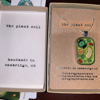 Plant Cell Key Chain Key Ring Cell Biology Biology Gift - Etsy