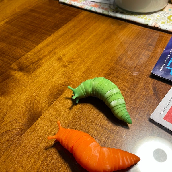 Color Changing 3D Printed Fidget Slug | Desk Toy - Etsy