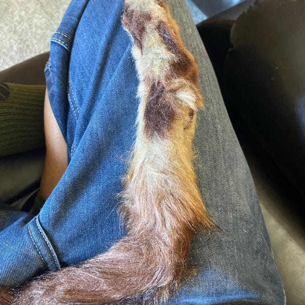 Spotted Hyena Tail Keychain - Realistic Animal Faux Fur - Spirituality ...