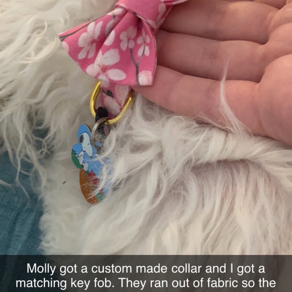 Pink Dog Leash, Herringbone Dog Leash, Girl Dog Leash, 6 Ft Pet Leash ...