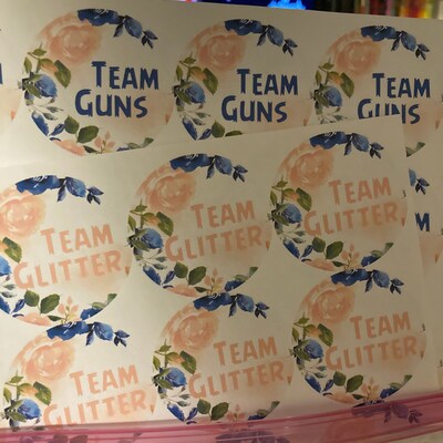 Gender Reveal Stickers, Team Pink, Team Blue Gender Reveal Party ...
