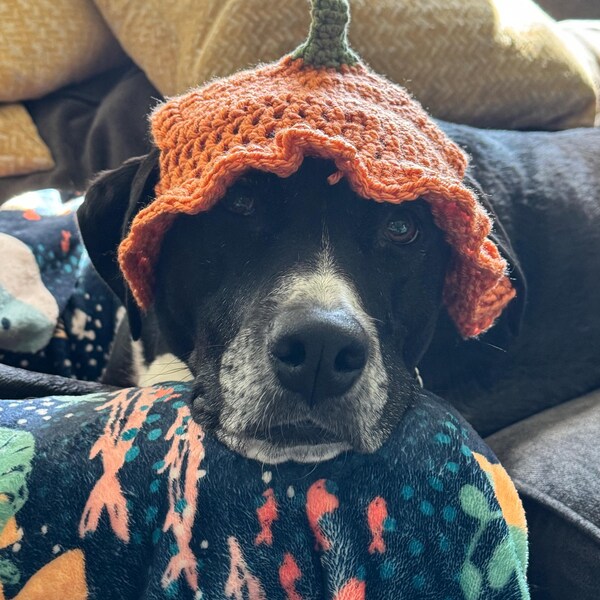 Santa Ruffle Dog Hat Crochet PATTERN - Etsy