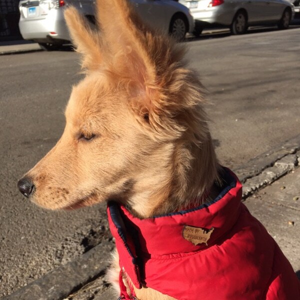 Made by Immigrants Lapel Pin / Made in USA - Etsy