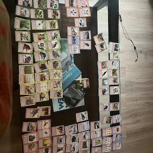 Ecologies Card Game Gameplay Inspired by Nature Use Science to Build ...