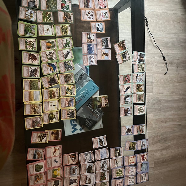 Ecologies Card Game - Gameplay Inspired by Nature - Use Science to ...