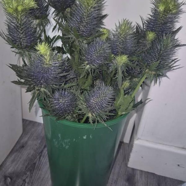 Fresh Purple Limonium | Sea Lavenders | Satice | Fresh Flowers | Purple ...