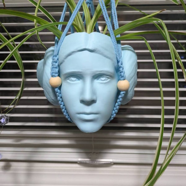 Unique Shrek Head Planter Pot - Cactus Pot and Pen Holder - FAST ...