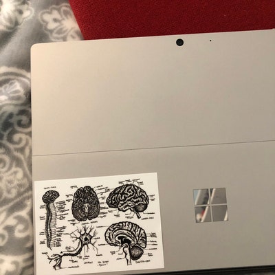 Laptop Sticker Anatomy Neuro Brain Diagram Vinyl, Nursing Student ...