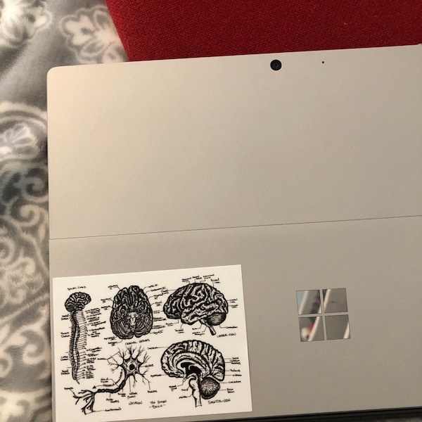 Laptop Sticker Anatomy Neuro Brain Diagram Vinyl, Nursing Student ...