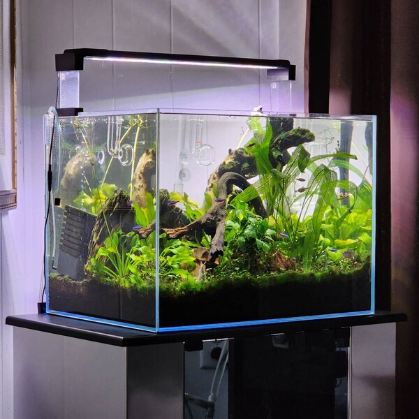 Hygger Advanced Light Riser, Attractive Stable Elevated Stand, Quality ...