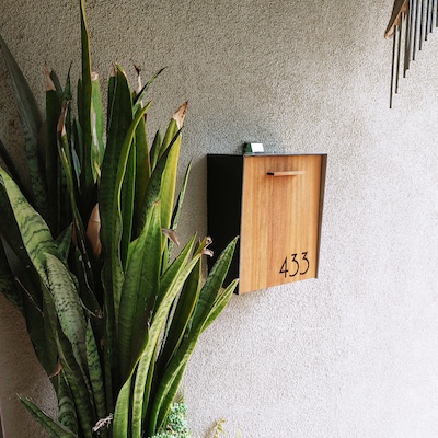 Contemporary Wood Face Mailbox Solid Iroko Wood Brushed Silver Aluminum ...