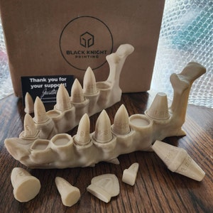 Dragon Teeth Dice Set - Etsy