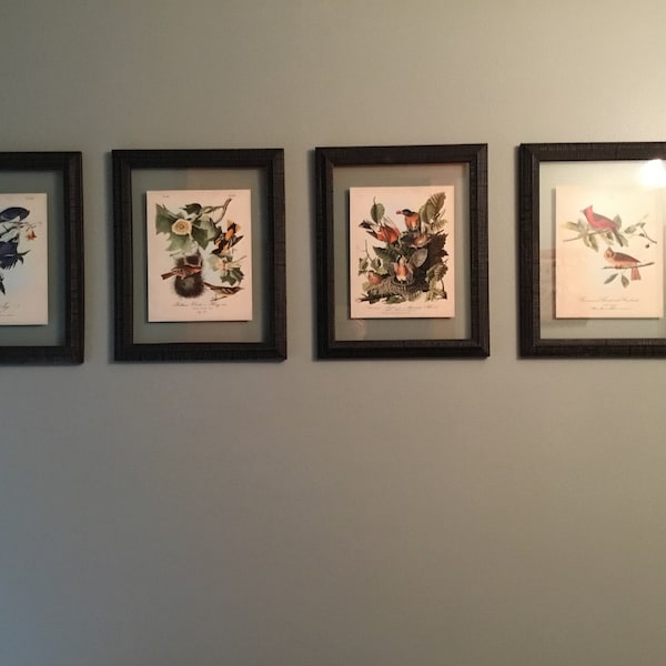 Audubon Bird Print Set: Cardinal, Robin, Blue Jay, Oriole - Birds of ...