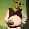 Special FX Makeup - Theatrical Makeup - Shrek the Musical - Shrek Latex ...