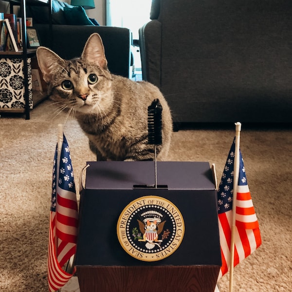 Phone Booth Cat Scratcher | Cute Cat Scratcher With Sturdy Cardboard ...