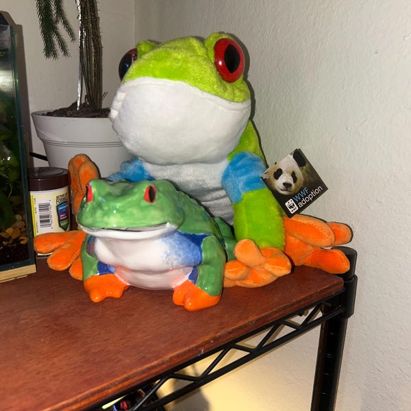 CUSTOM Painted Ceramic Arnel Toad Toilet Paper Holder LARGE - Etsy