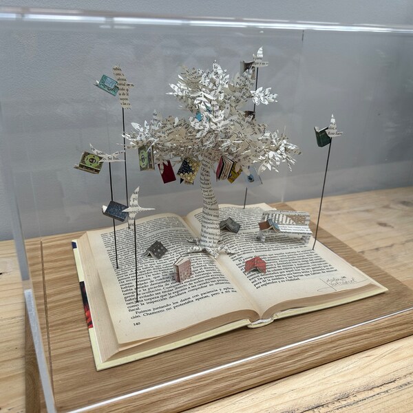 Tennis Ball Display Case With Custom Engraving - Etsy