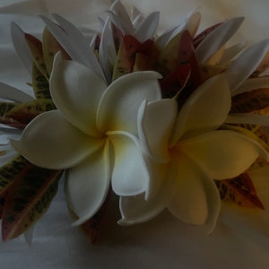 Polynesian Headdress Lei Po'o Premium Tahitian Flower Crown for Ahuroa ...